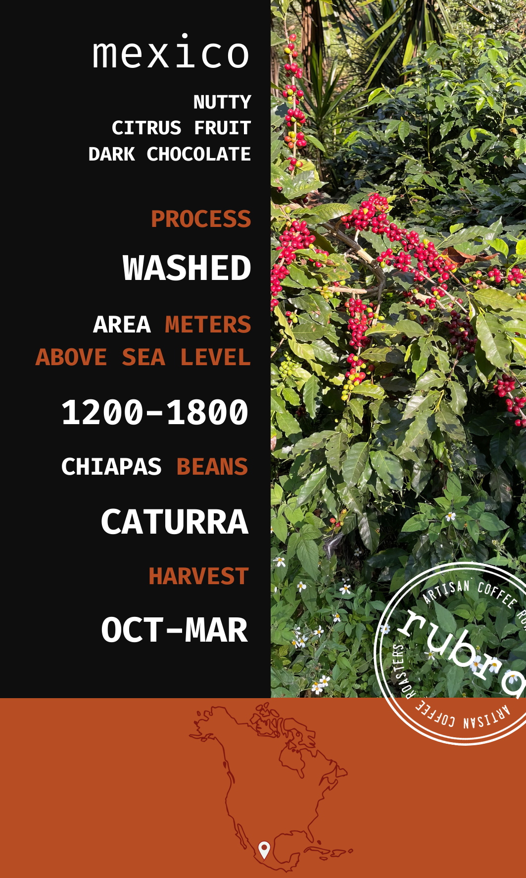 Mexico FILTER ROAST– Rubra Coffee